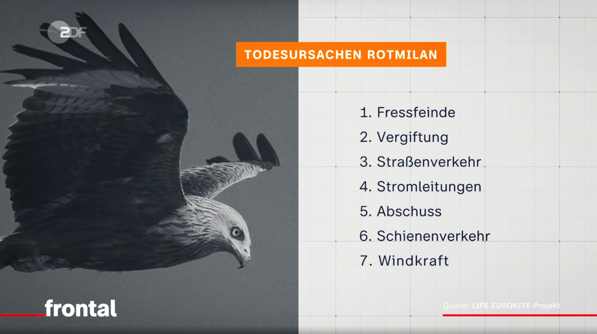 Vogelschlag – AK Windkraft Dachau